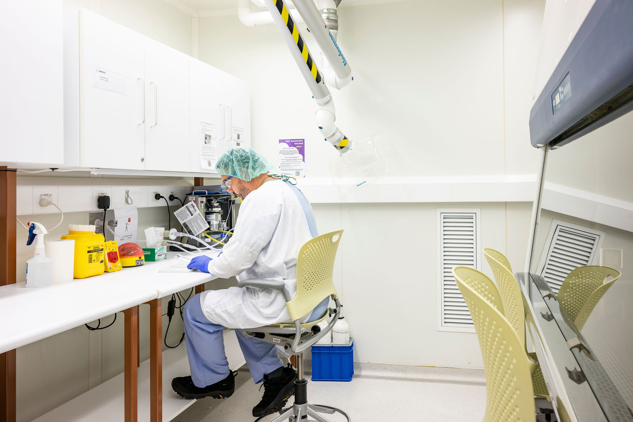 BR-TRI | Rodents - Biological Resources - University of Queensland